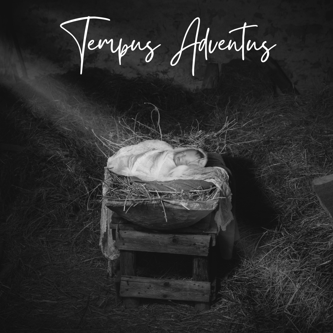 Tempus Adventus – The Blog of Journey Church